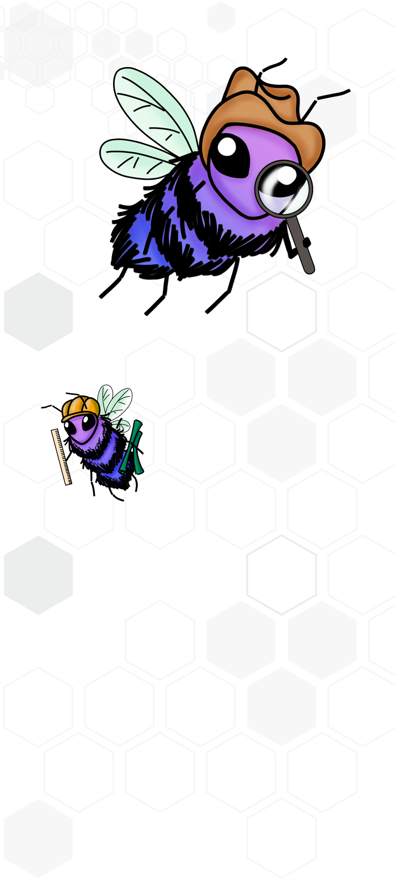 Nos expertises - GroupBees